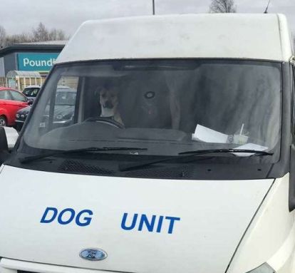 Contact The Barking Police